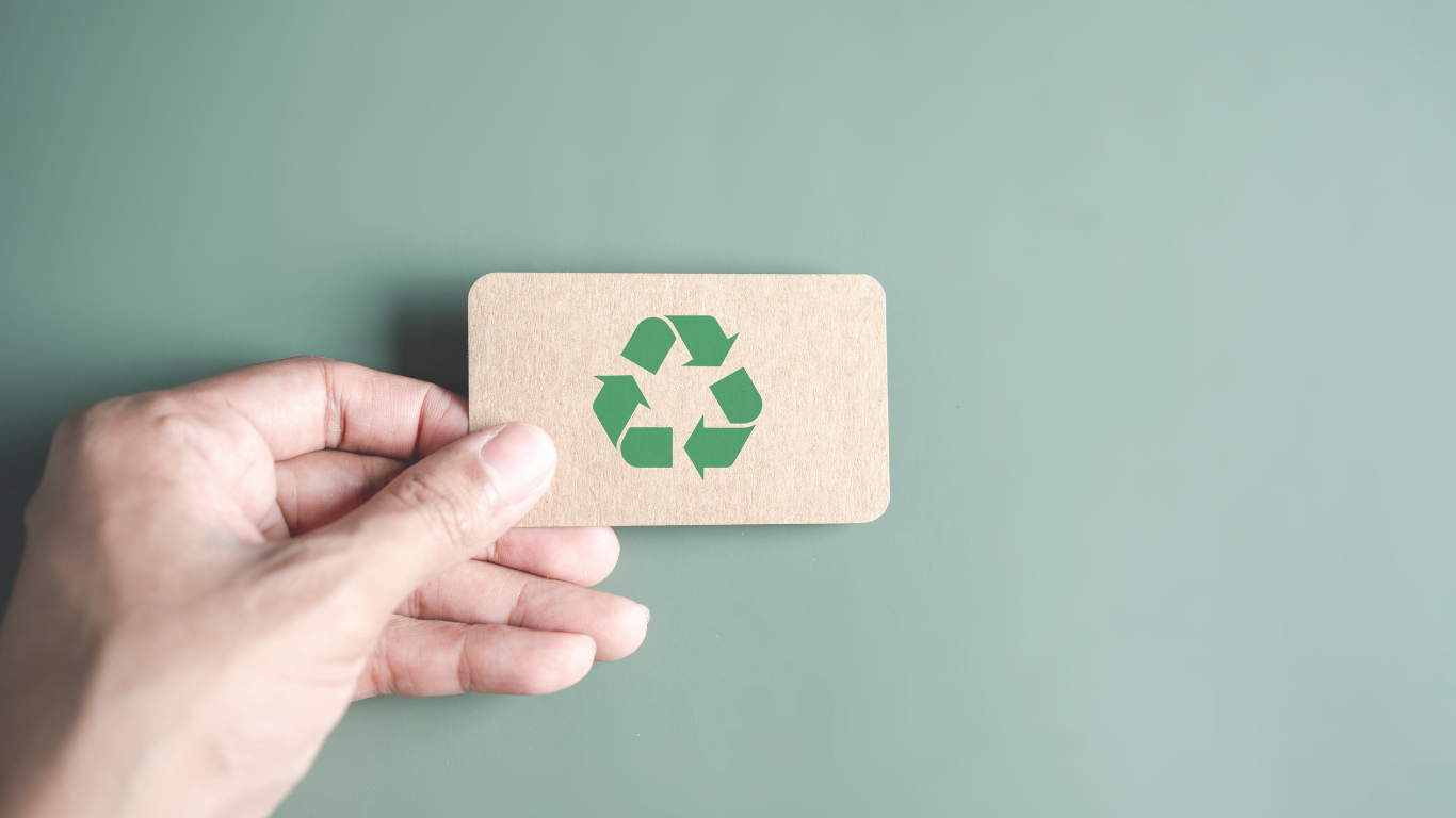 Greener Choices: 7 Sustainable Brands You'll Love to Adopt - Green ...